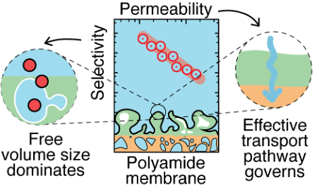 Our research elucidating the roles of reverse osmosis membrane structural properties in the ...